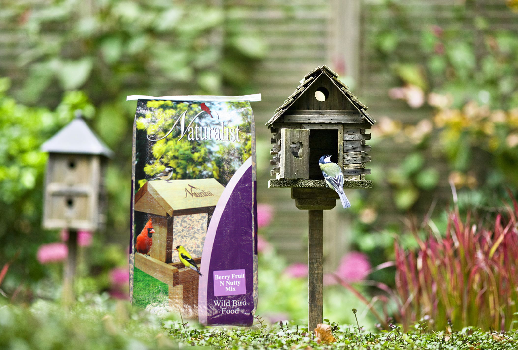 Naturalist - Bird Feed – Garden Center Express