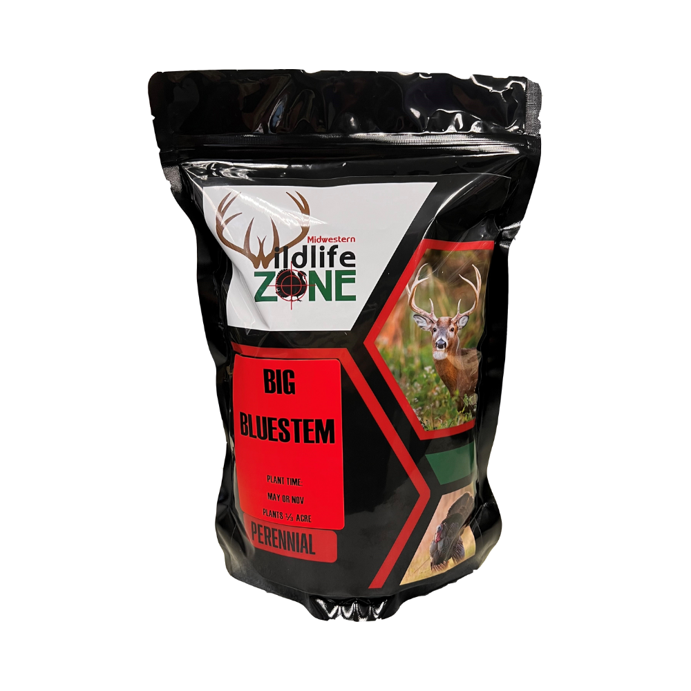 Big Bluestem – Garden Center Express