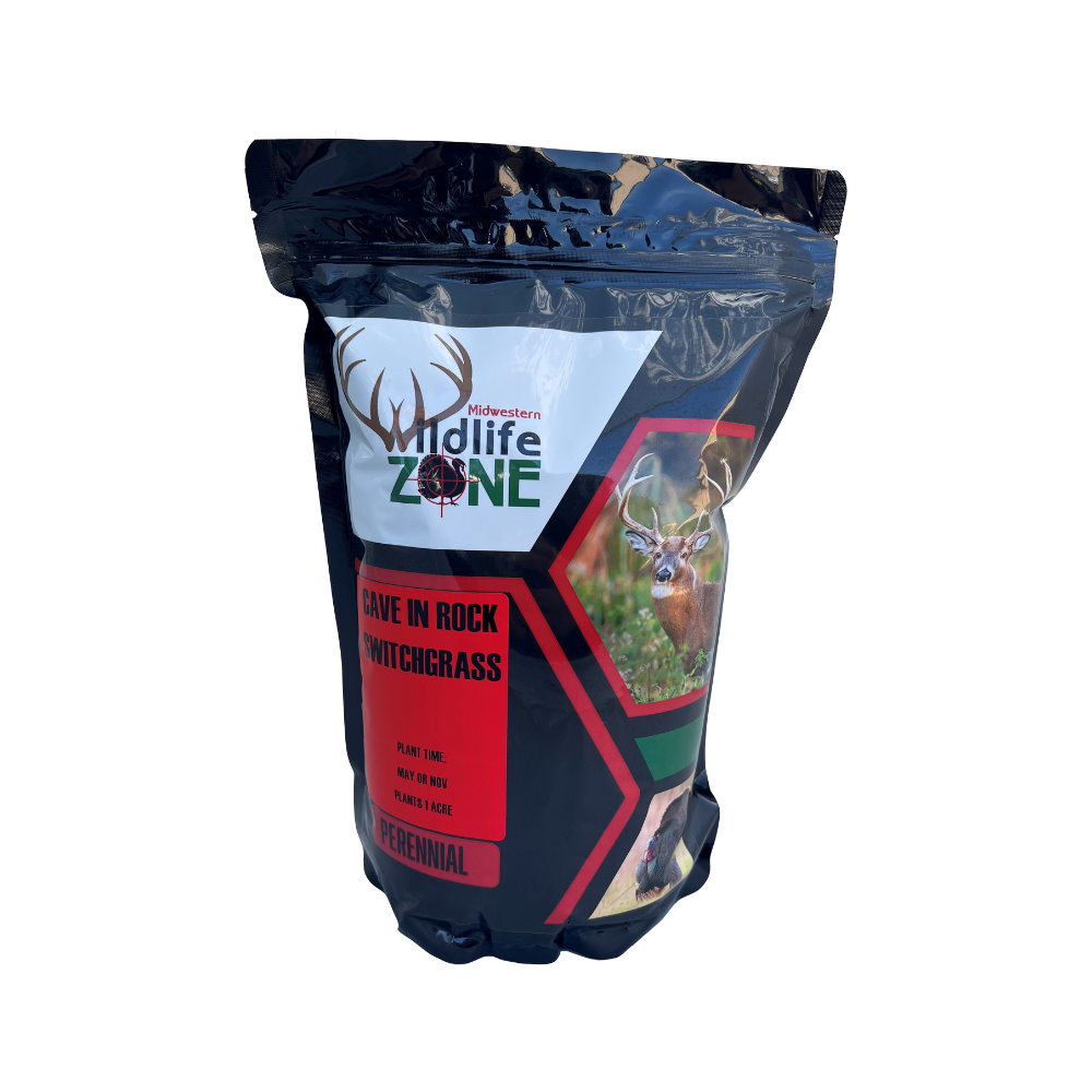 Cave in Rock Switchgrass – Garden Center Express