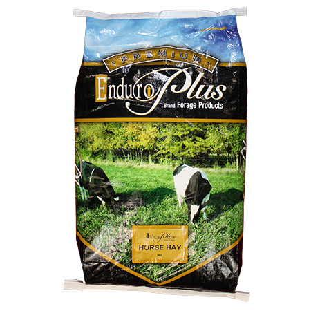 Enduro-Plus Horse Hay Mix Forage Seed – GardenCenter Express