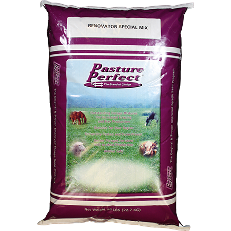 Pasture Perfect Renovator Special Mix Forage Seed – GardenCenter Express